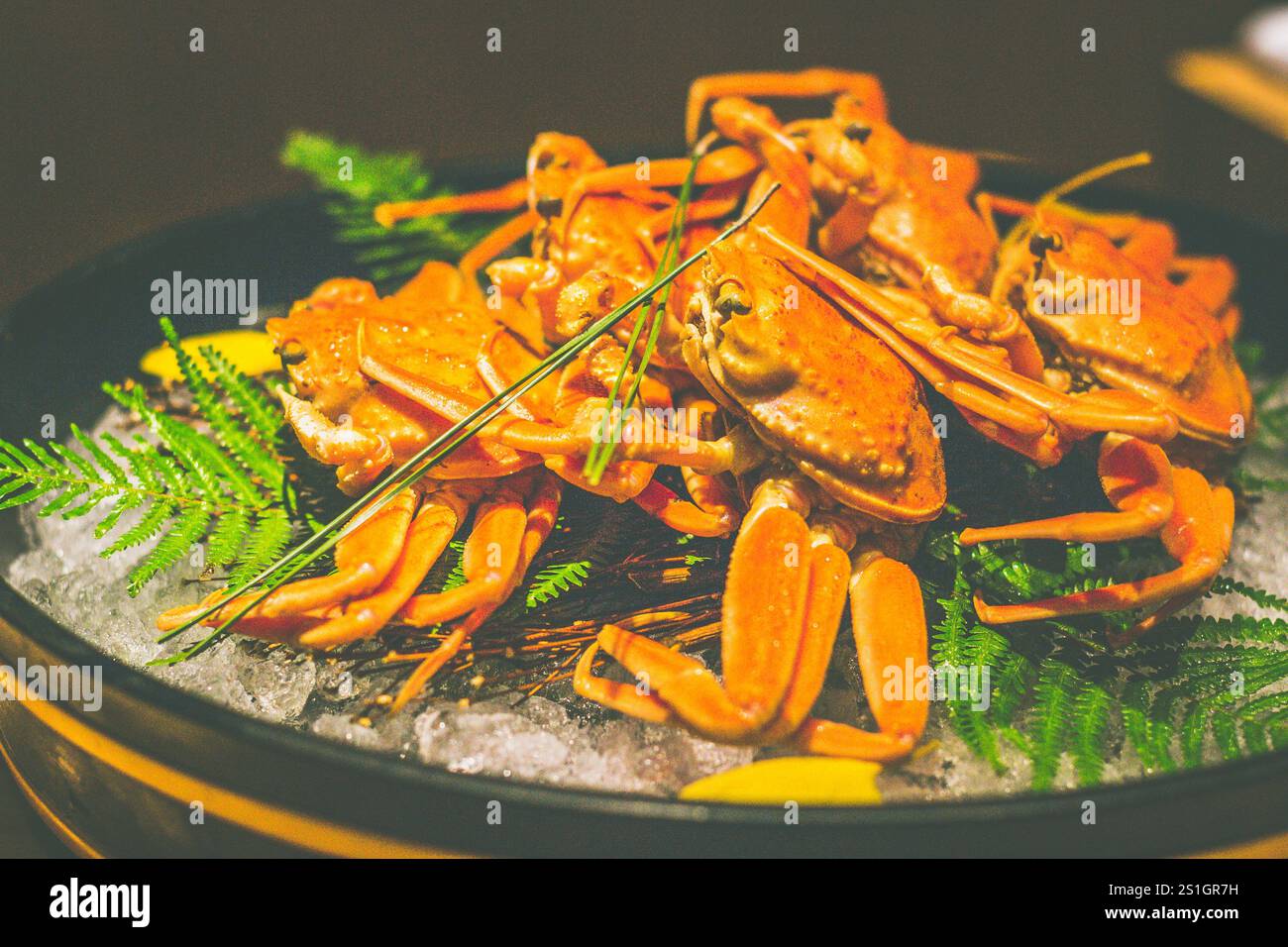 a bunch of japanese snow crabs served on a platter of ice Stock Photo ...