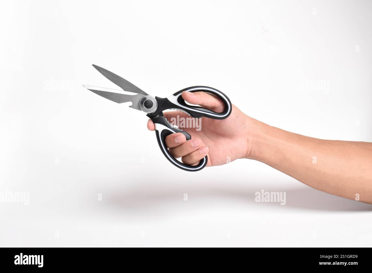 Hand holding Kitchen scissors shears stainless steel isolated on white background Stock Photo ...