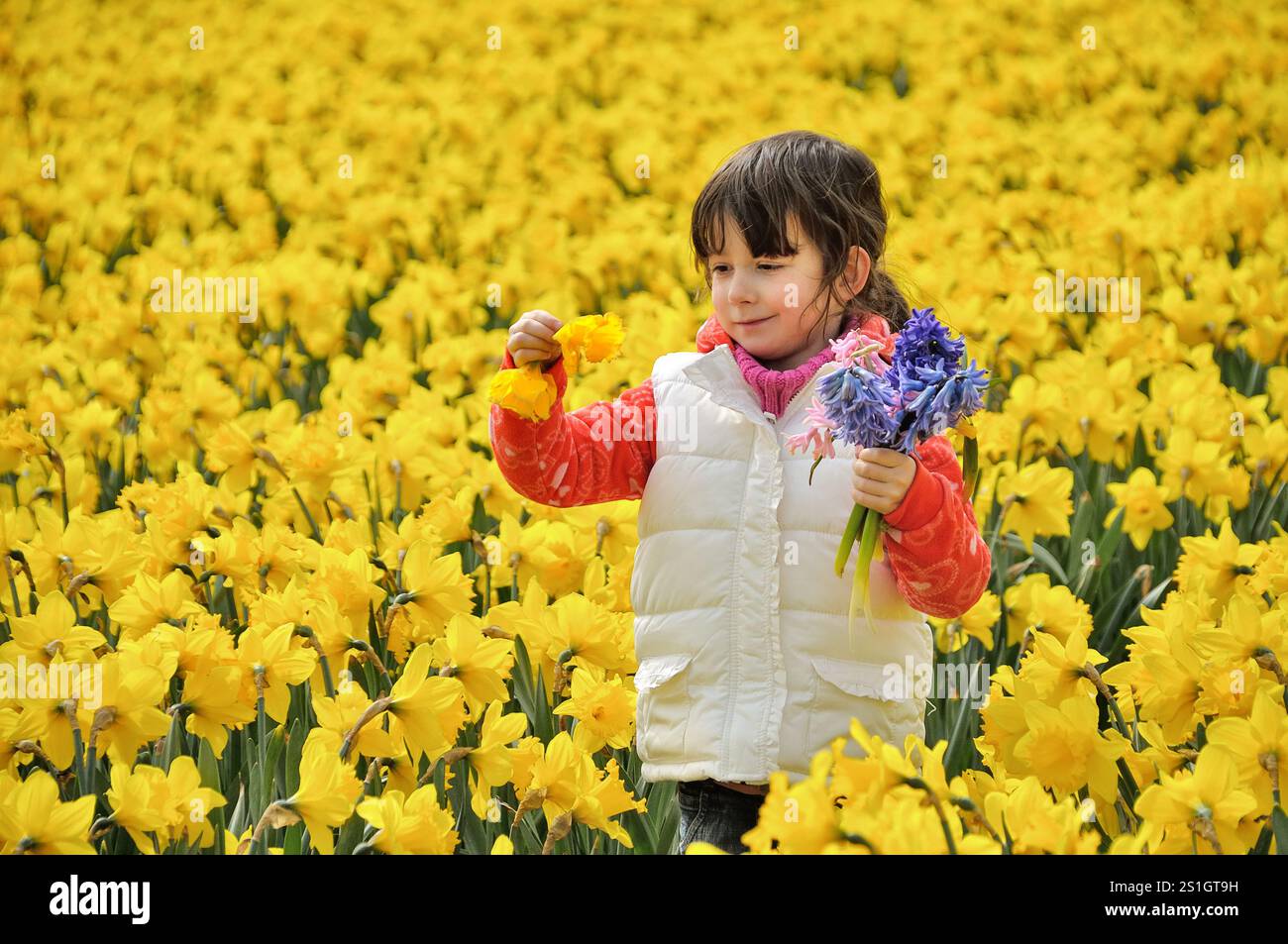 Happy kid with spring flowers on yellow daffodils field, little girl on ...