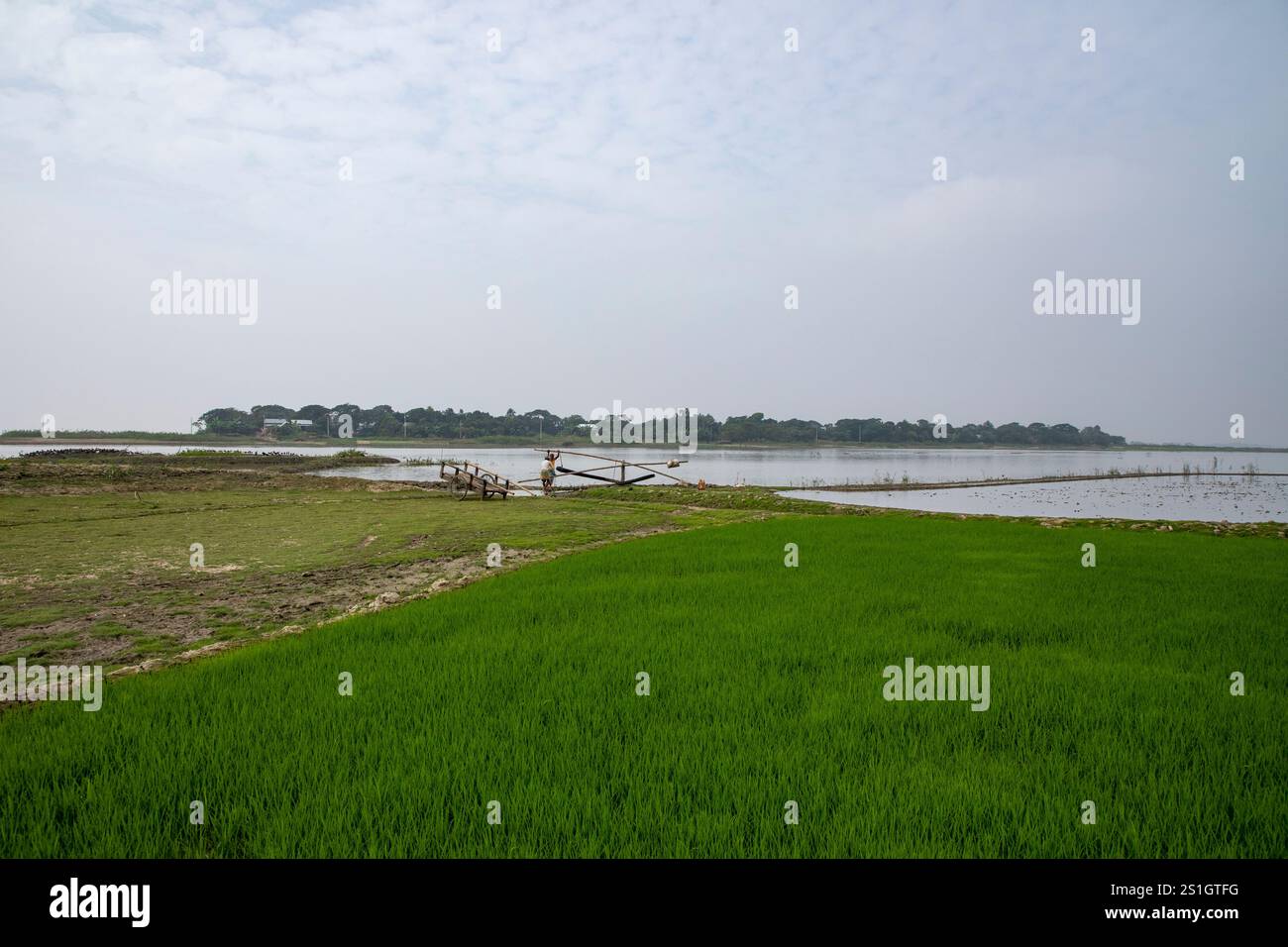 An aerial view of the haor region in Mohonganj, Netrokona district ...