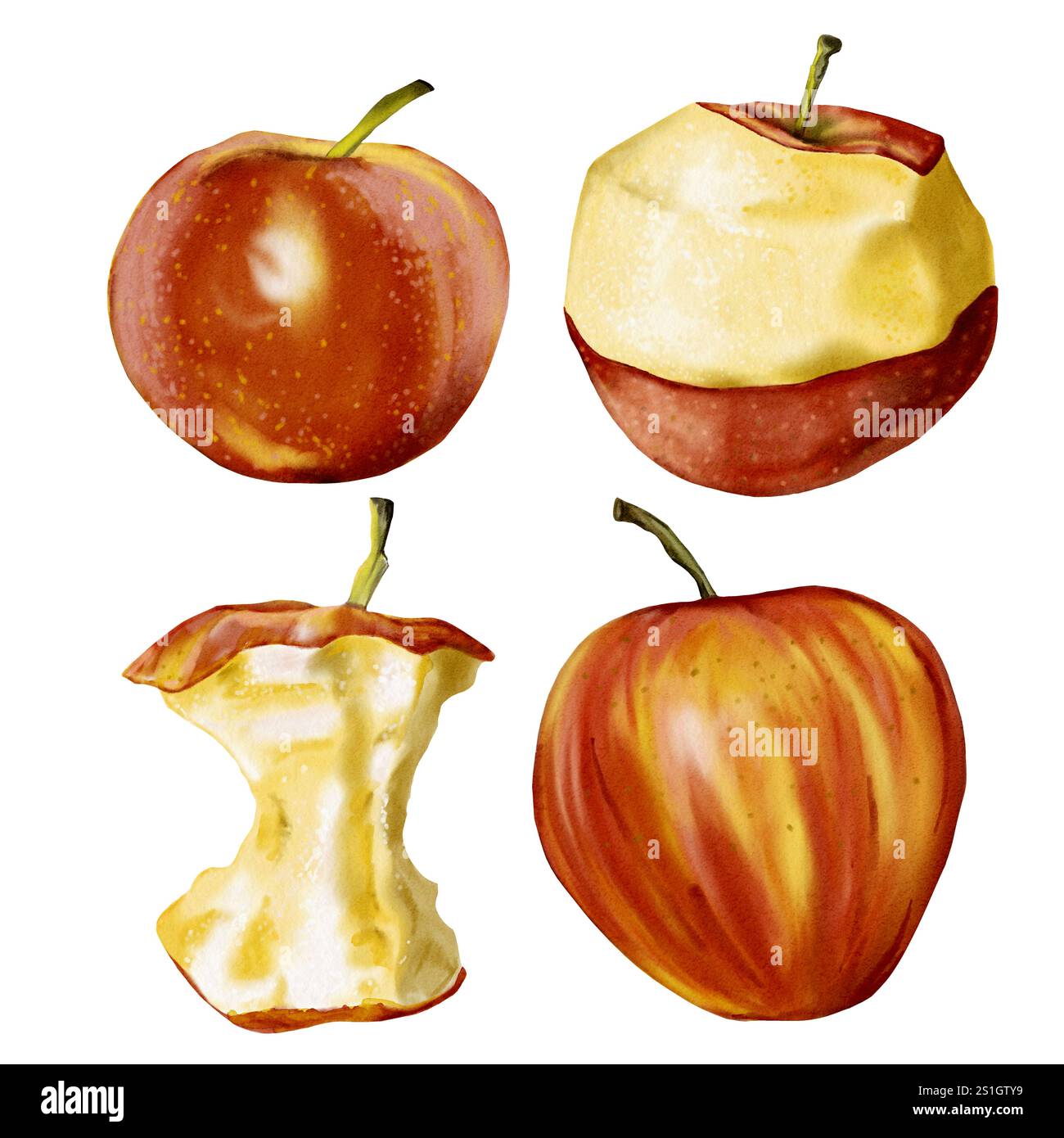 The apples are red and juicy. Set of fruits. Whole apple, peeled apple ...