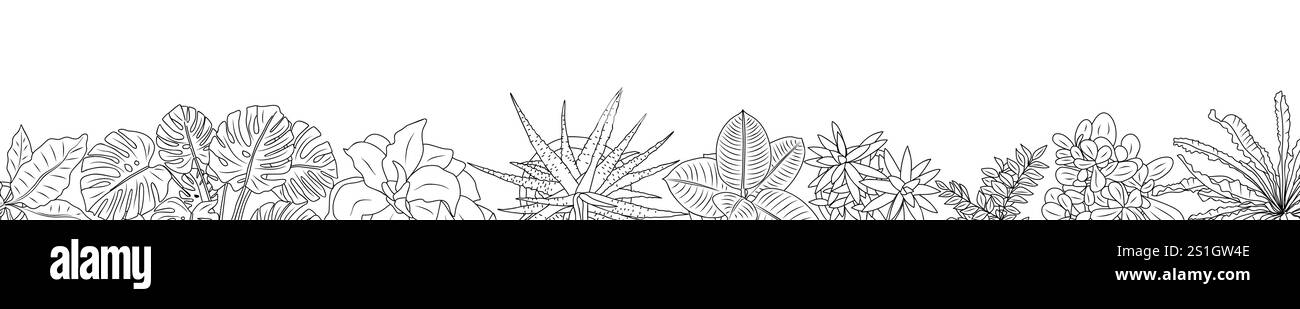 House plants line art border vector drawing Stock Vector Image & Art ...