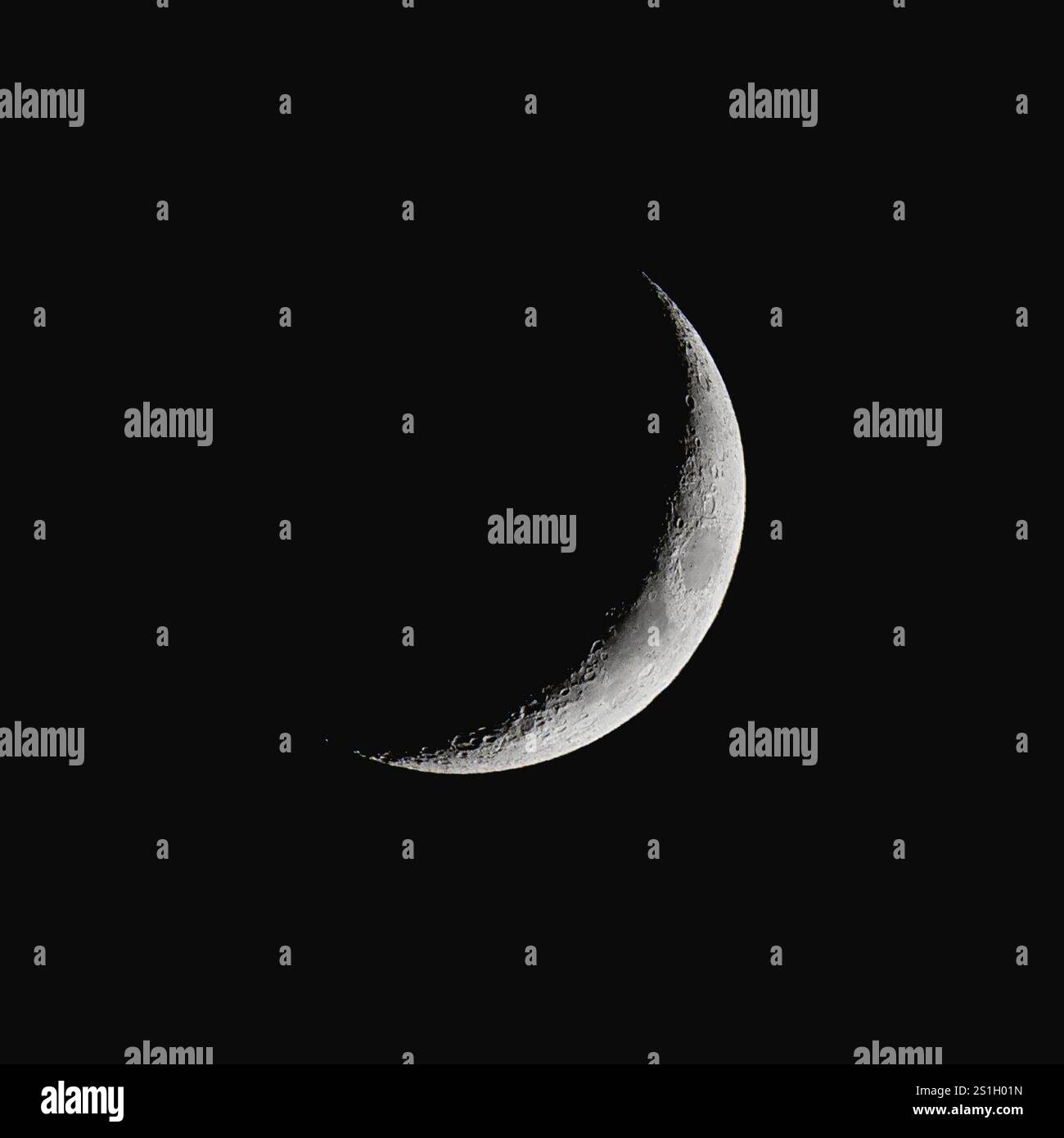 Belfast, UK. 03rd Jan, 2025. Crescent Moon with Venus Credit: Bonzo ...