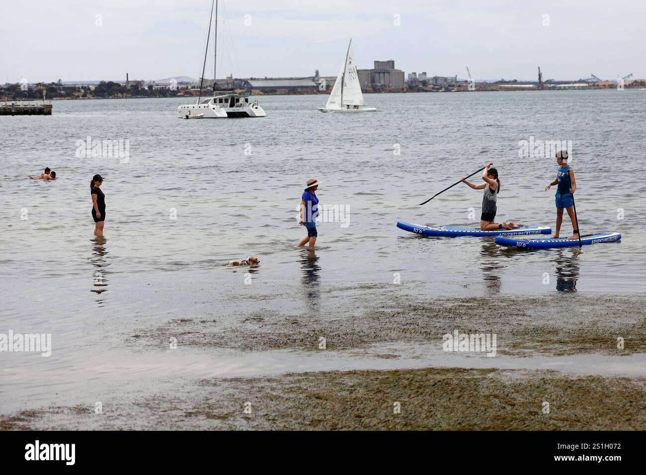 Melbourne, Australia. 04th Jan, 2025. People enjoy the sunny day at ...