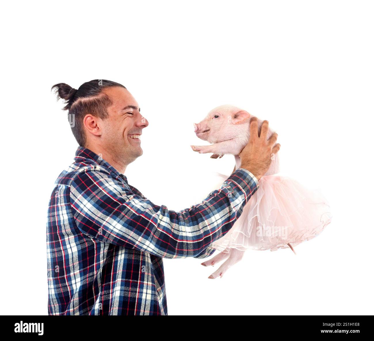 pink miniature pig and man in front of white background Stock Photo - Alamy