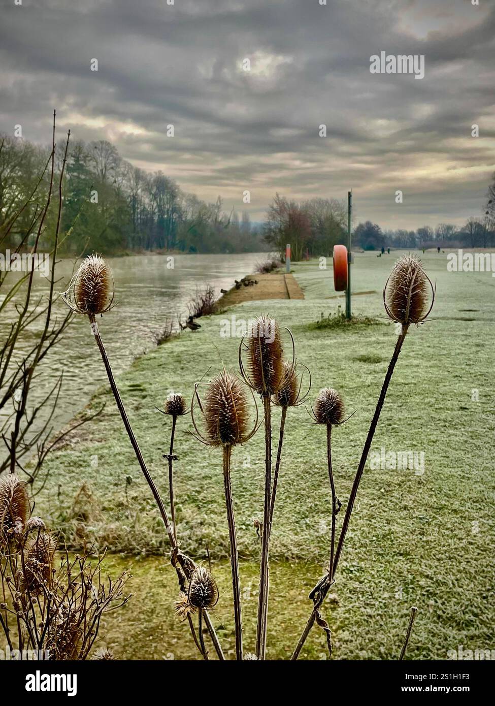 Non Exclusive: Cold and frosty River Thames on the meadow at Whitchurch ...