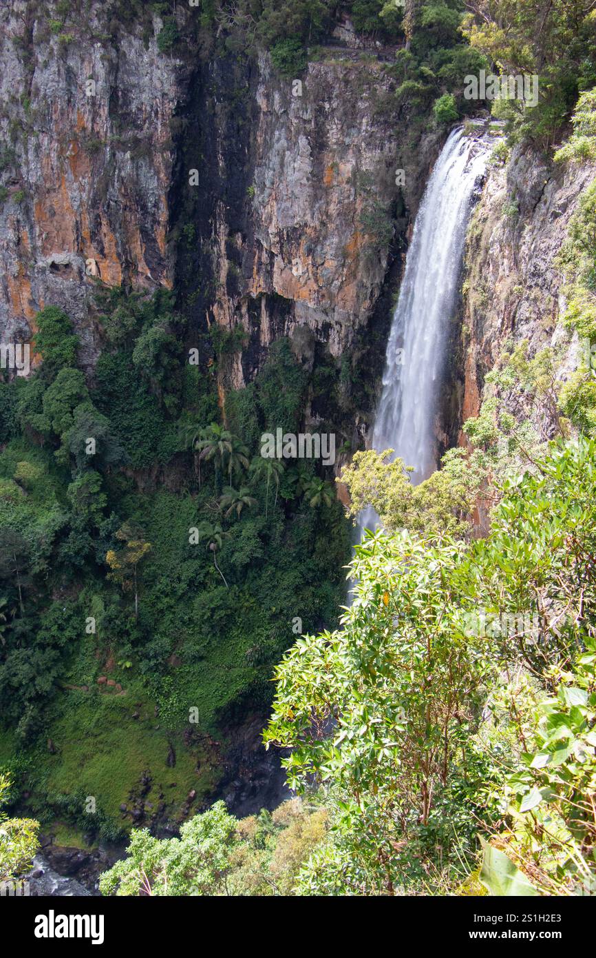 Purling Brook Falls, Springbrook National Park, Australia Stock Photo ...