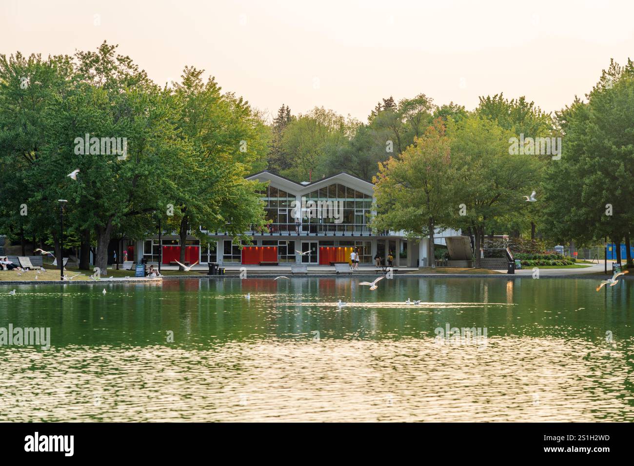 Mount Royal Park ( Parc du Mont-Royal ) Beaver Lake in summer sunset ...