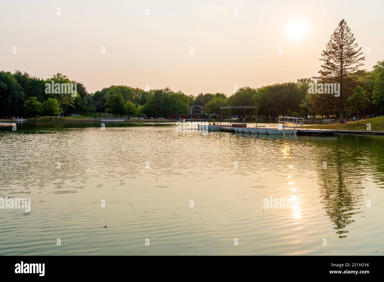 Mount Royal Park ( Parc du Mont-Royal ) Beaver Lake in summer sunset ...