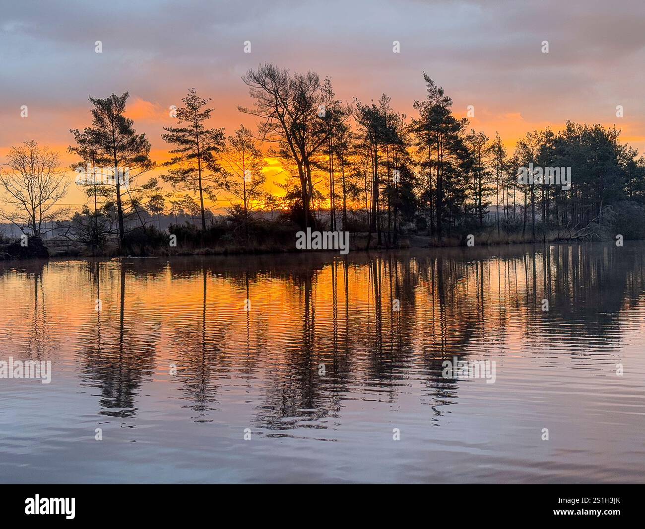 Godalming, UK. 04th Jan, 2025. Thursley Common, Elstead. 04th January ...