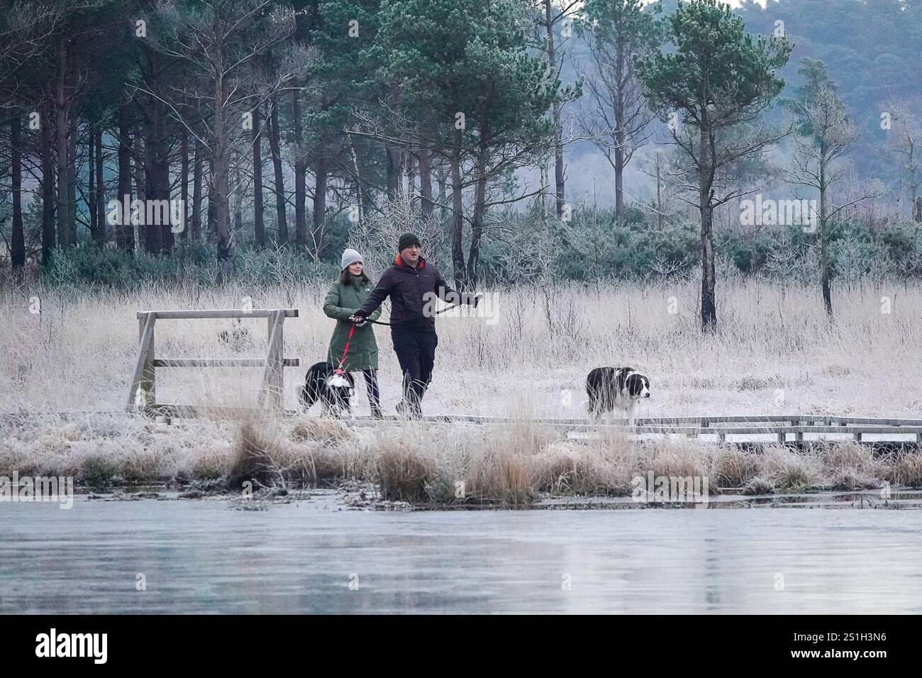 Thursley Common, Elstead. 04th January 2025. A very cold start to the ...