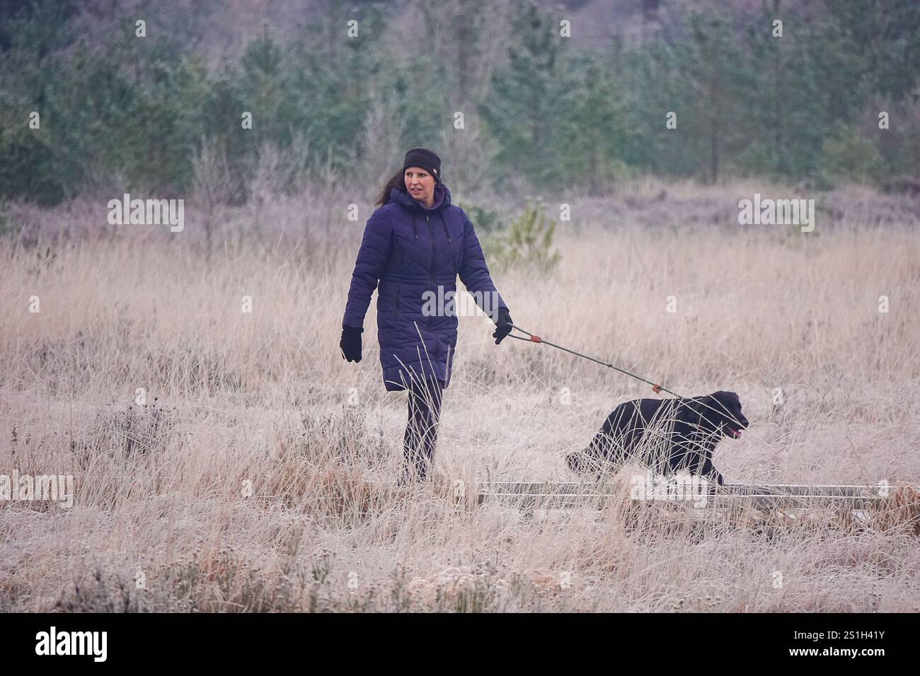 Thursley Common, Elstead. 04th January 2025. A very cold start to the ...