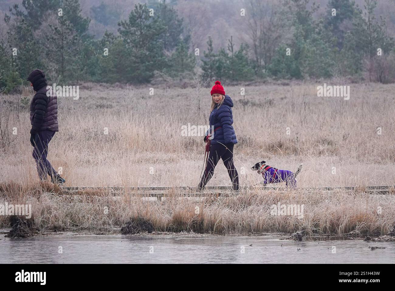 Thursley Common, Elstead. 04th January 2025. A very cold start to the ...