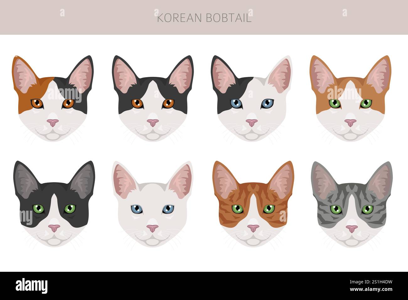 Korean Bobtail Cat clipart. All coat colors set. All cat breeds ...