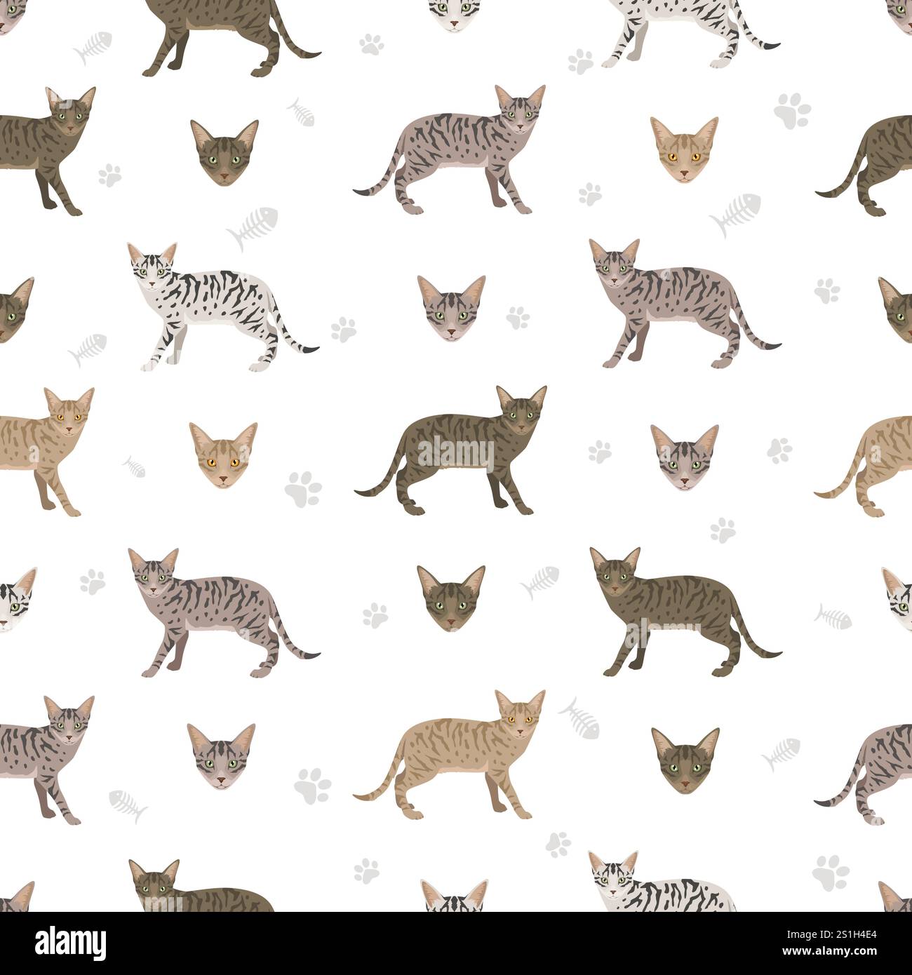 Kanaani Cat seamless pattern. All coat colors set. All cat breeds ...
