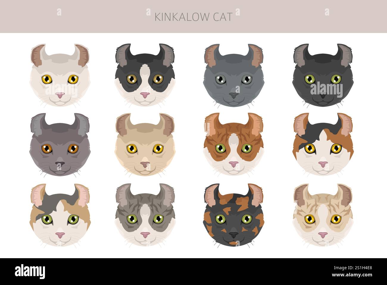 Kinkalow Cat clipart. All coat colors set. All cat breeds ...