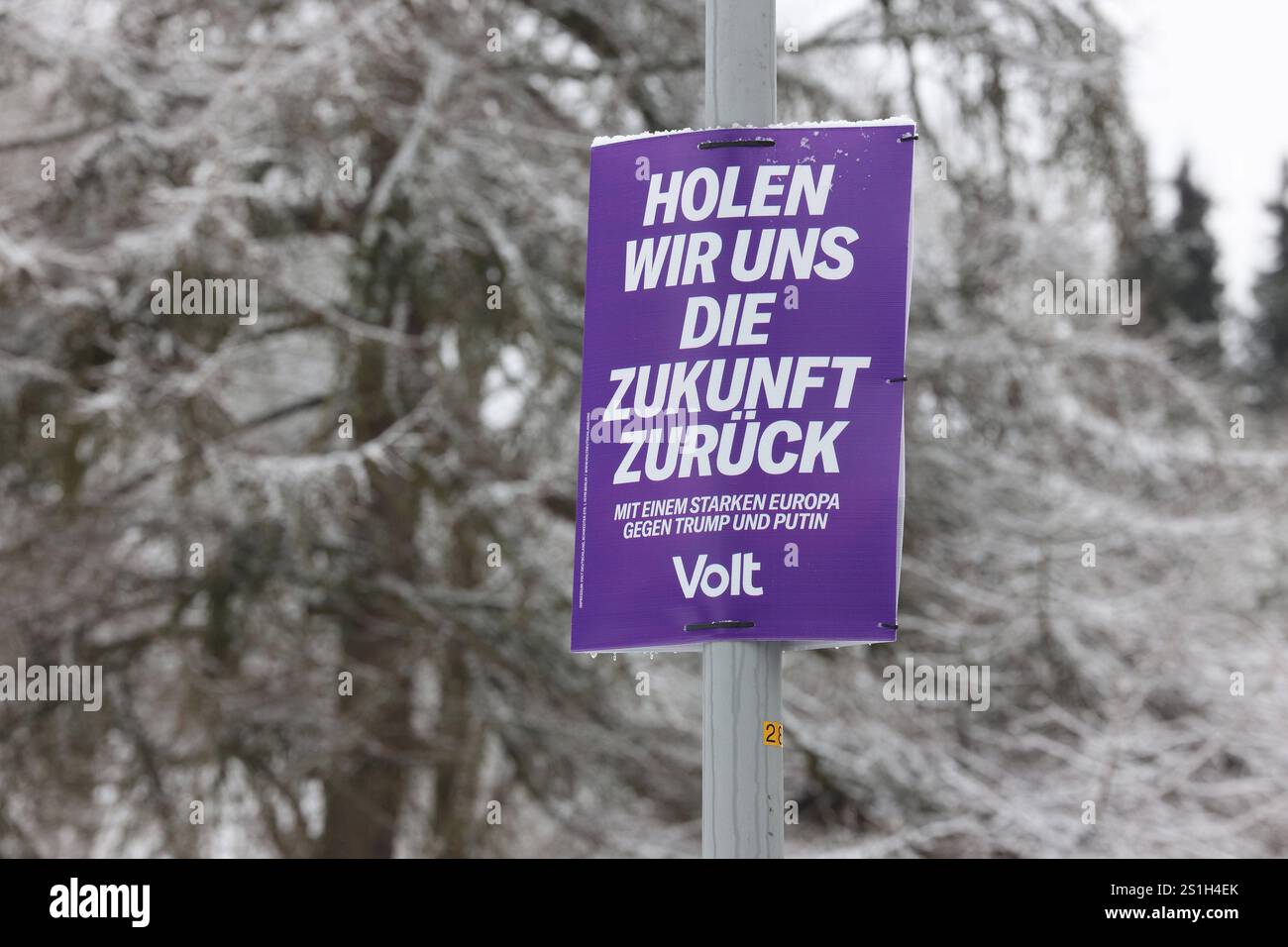 Wahlplakat zur Bundestagswahl 2025 der Volt Partei HOLEN WIR UNS DIE ...