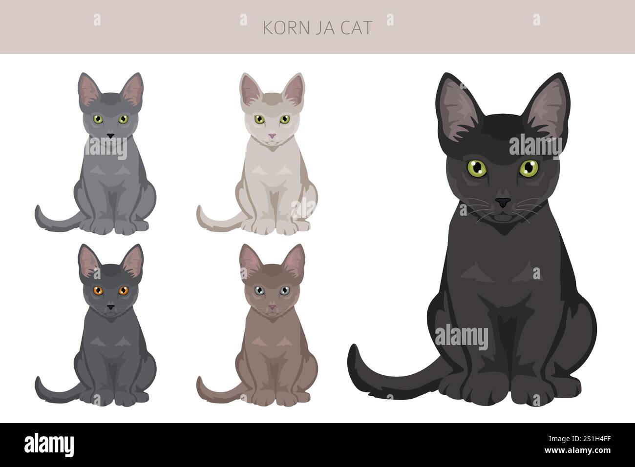 Korn Ja Cat clipart. All coat colors set. All cat breeds ...