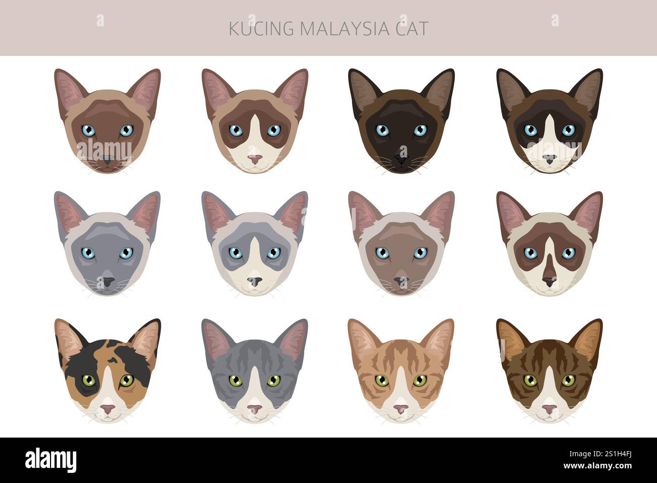 Kucing Malaysia cat clipart. All coat colors set. All cat breeds ...