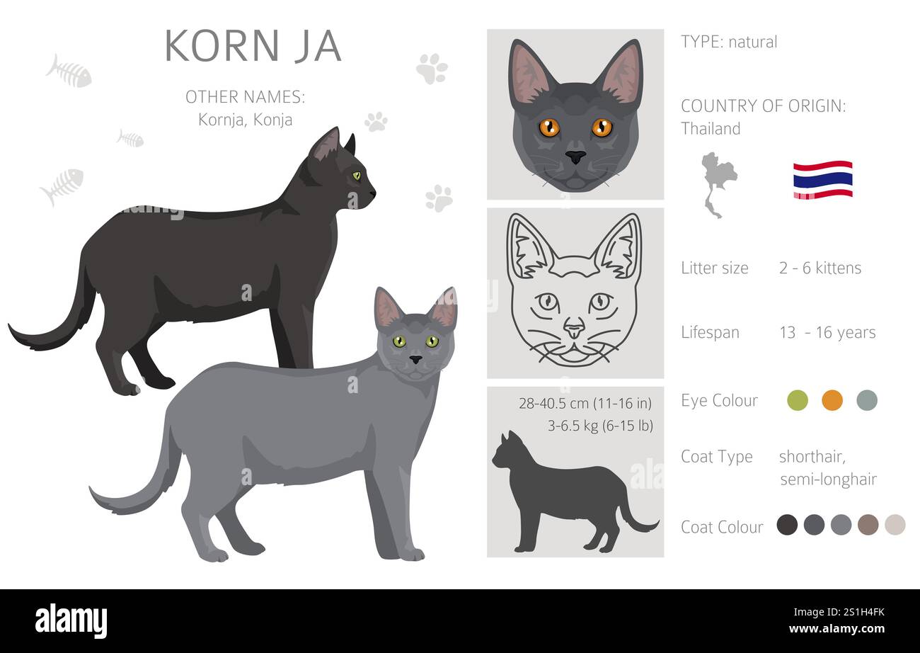 Korn Ja Cat clipart. All coat colors set. All cat breeds ...