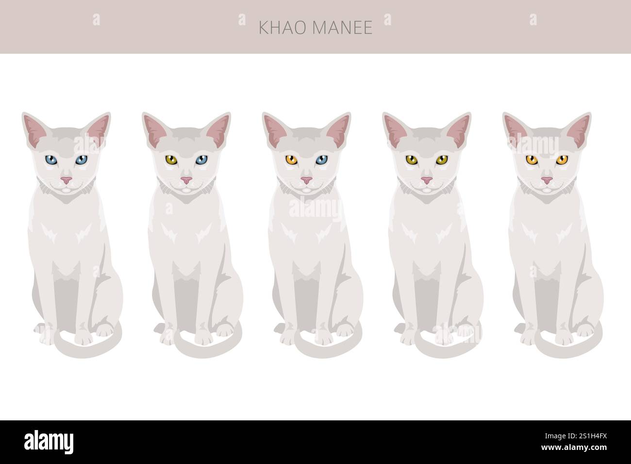 Khao Manee Cat clipart. All coat colors set. All cat breeds ...