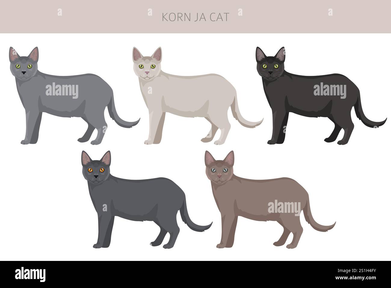 Korn Ja Cat clipart. All coat colors set. All cat breeds ...