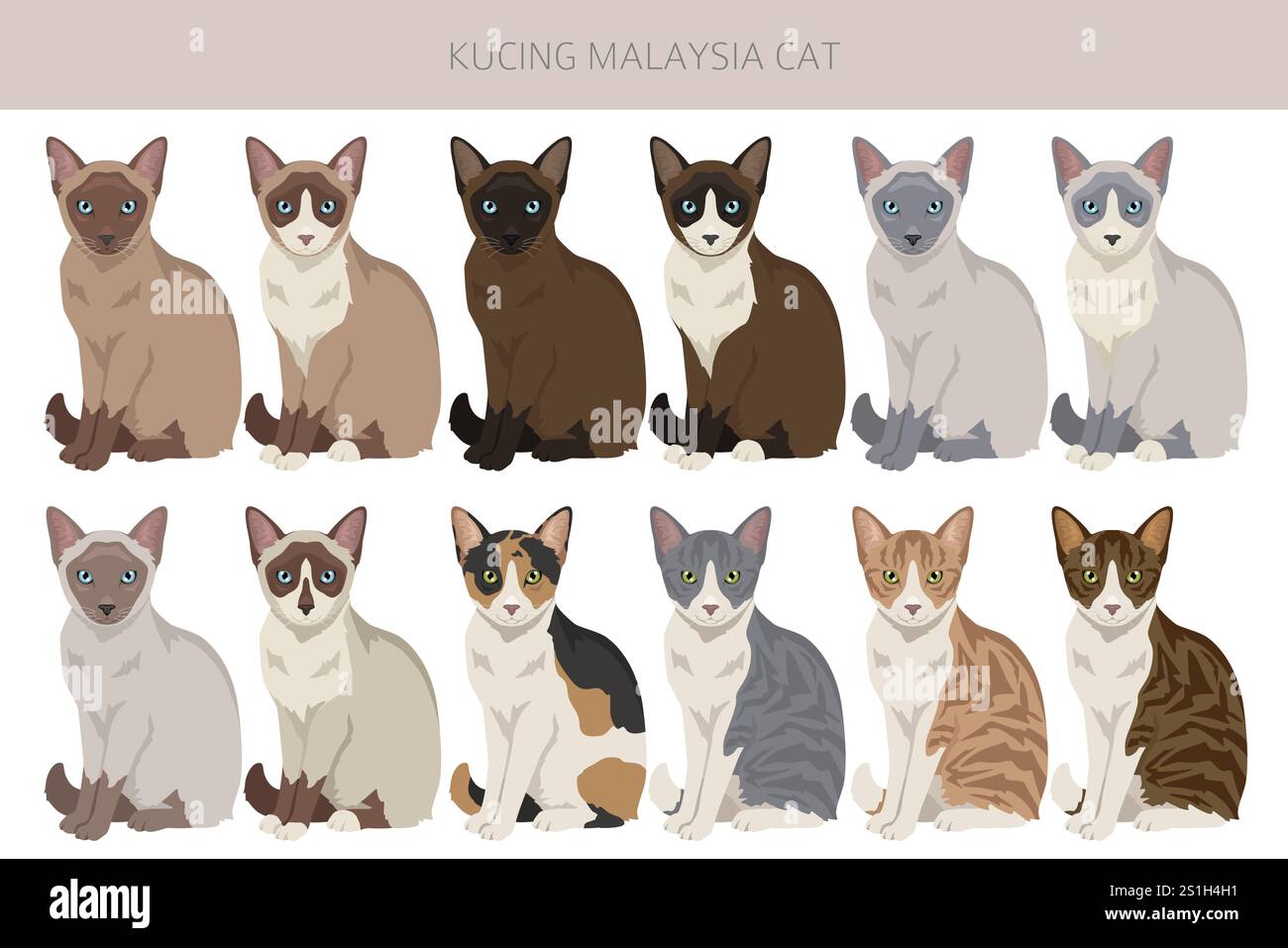 Kucing Malaysia cat clipart. All coat colors set. All cat breeds ...