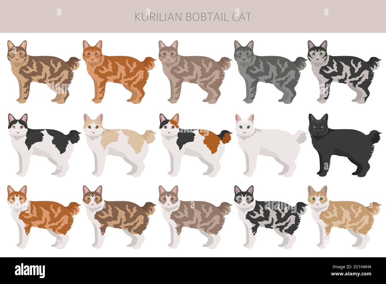 Kurilian Bobtail Cat clipart. All coat colors set. All cat breeds ...