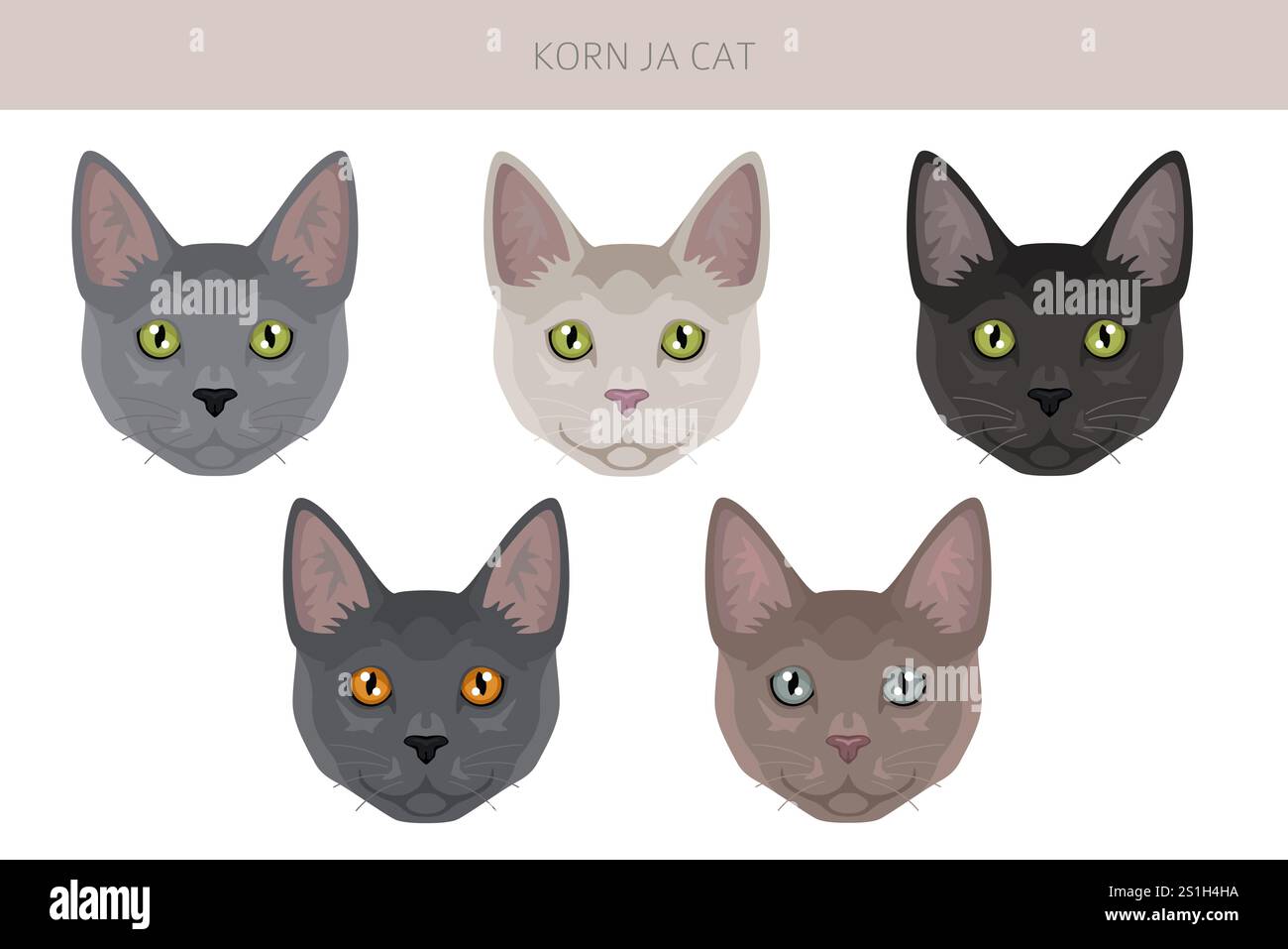 Korn Ja Cat clipart. All coat colors set. All cat breeds ...