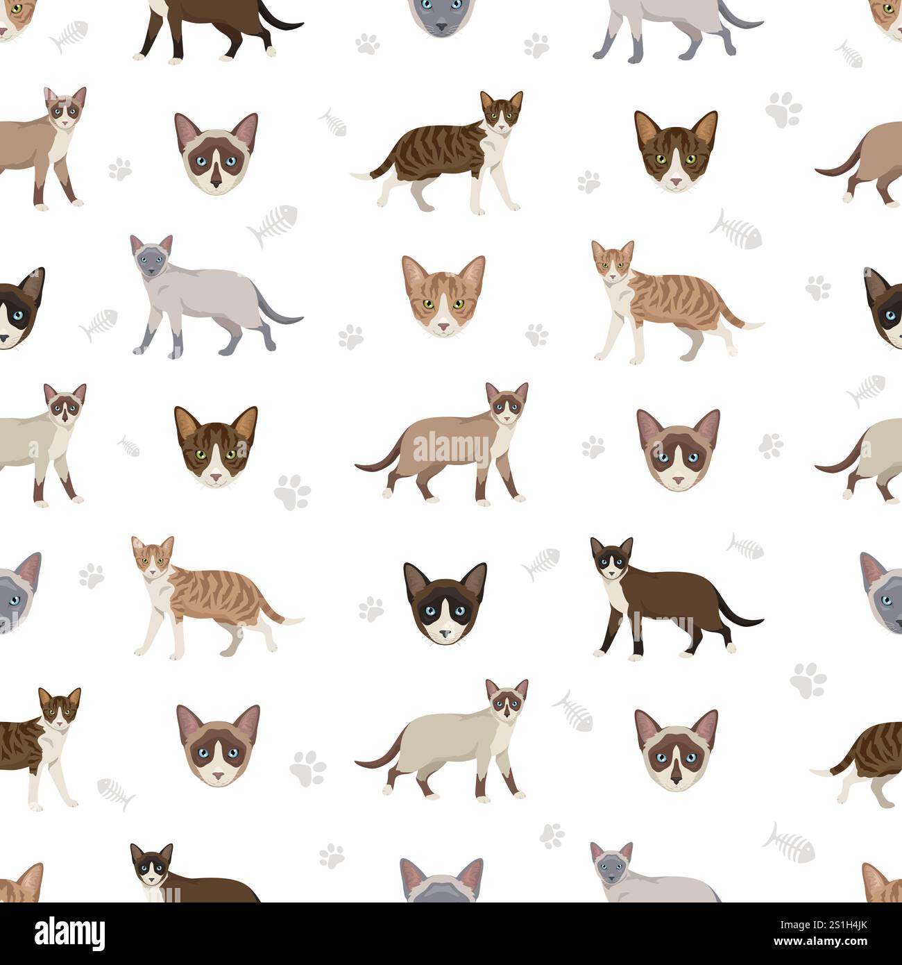 Kucing Malaysia cat seamless pattern. All coat colors set. All cat ...