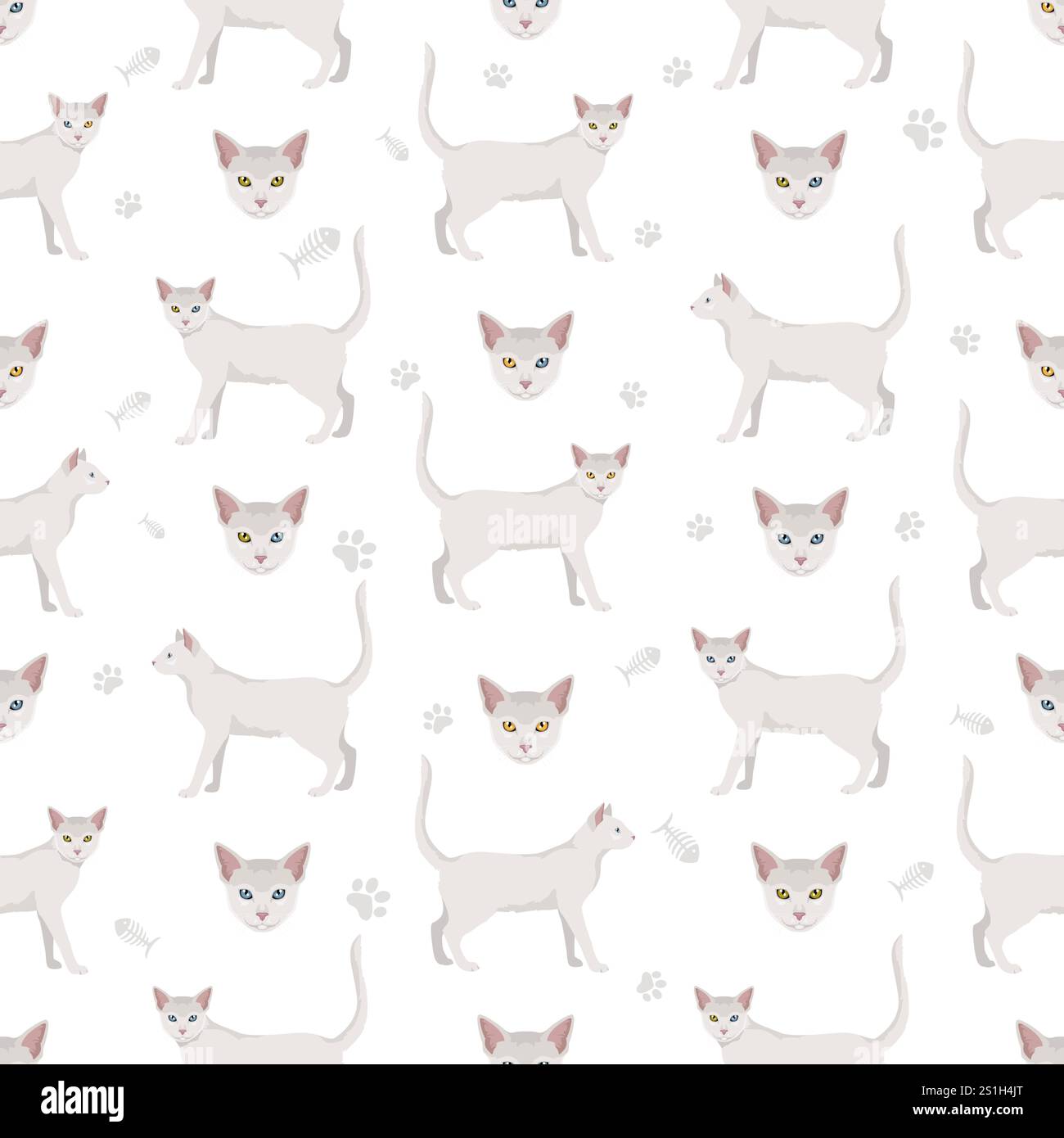 Khao Manee Cat seamless pattern. All coat colors set. All cat breeds ...