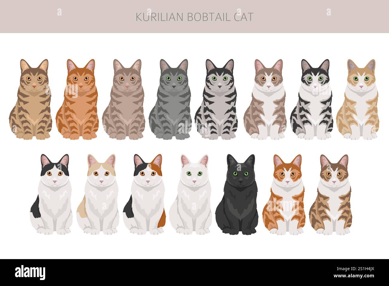 Kurilian Bobtail Cat clipart. All coat colors set. All cat breeds ...