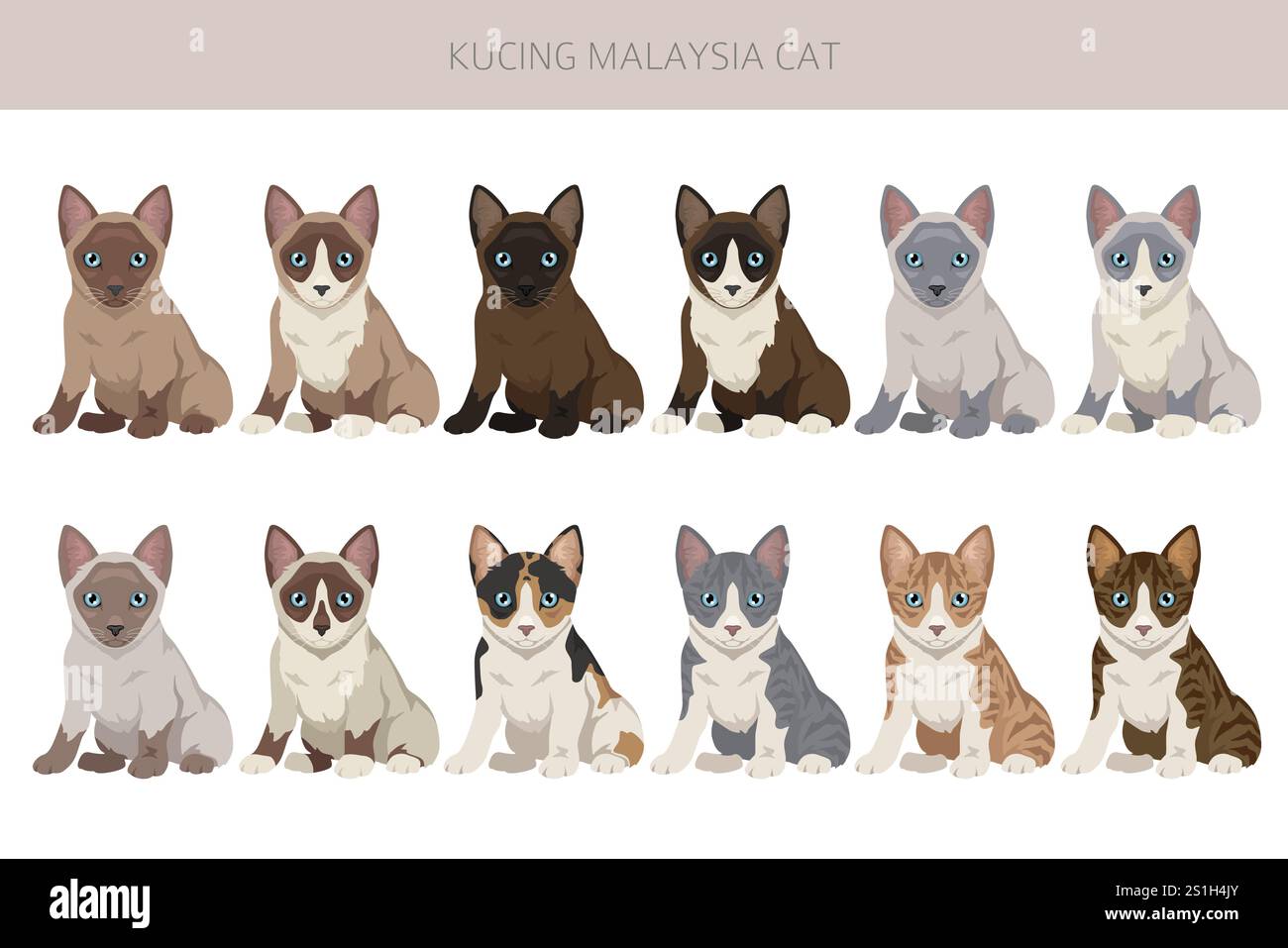 Kucing Malaysia cat clipart. All coat colors set. All cat breeds ...