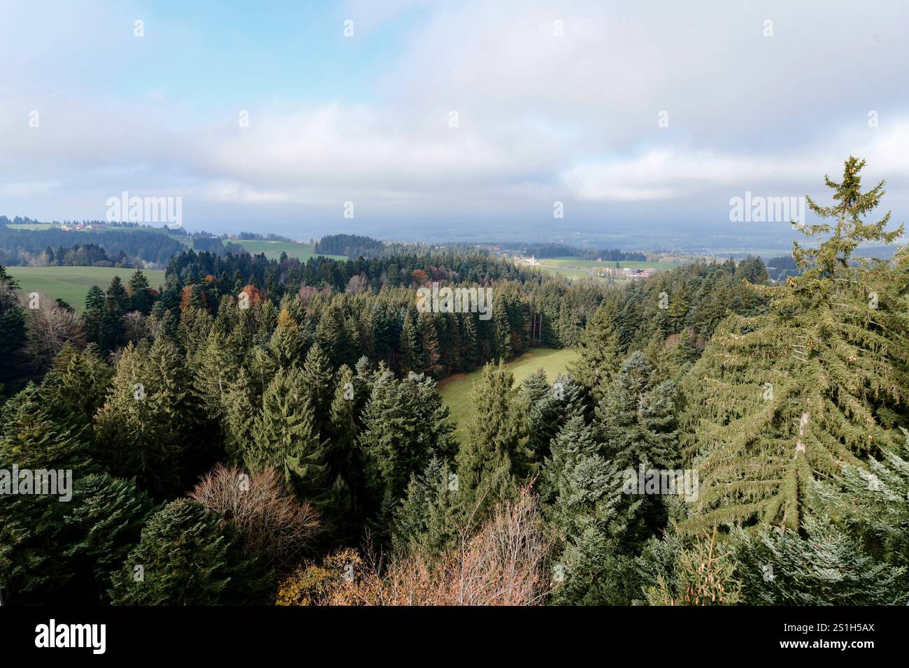 Skywalk Allgäu Blick am 3.11.2024 auf den Baumwipfelpfad Waldwelt ...
