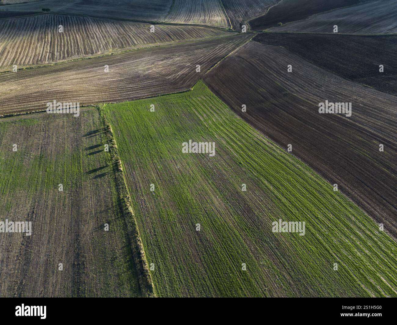 Top view of agricultural plots in a rural area in the province of ...