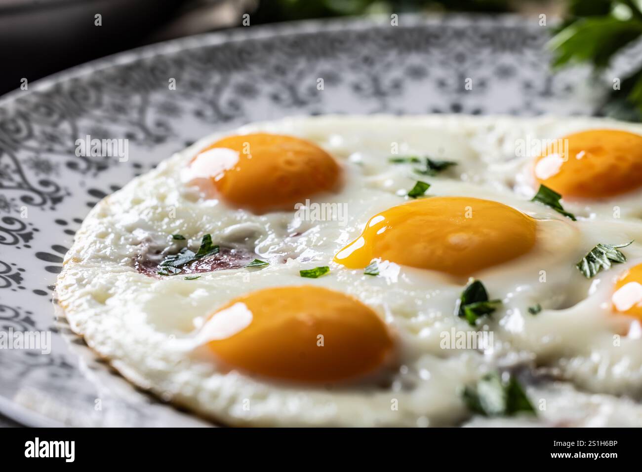 English breakfast on a plate. Ham and eggs sprinkled with parsley Stock ...