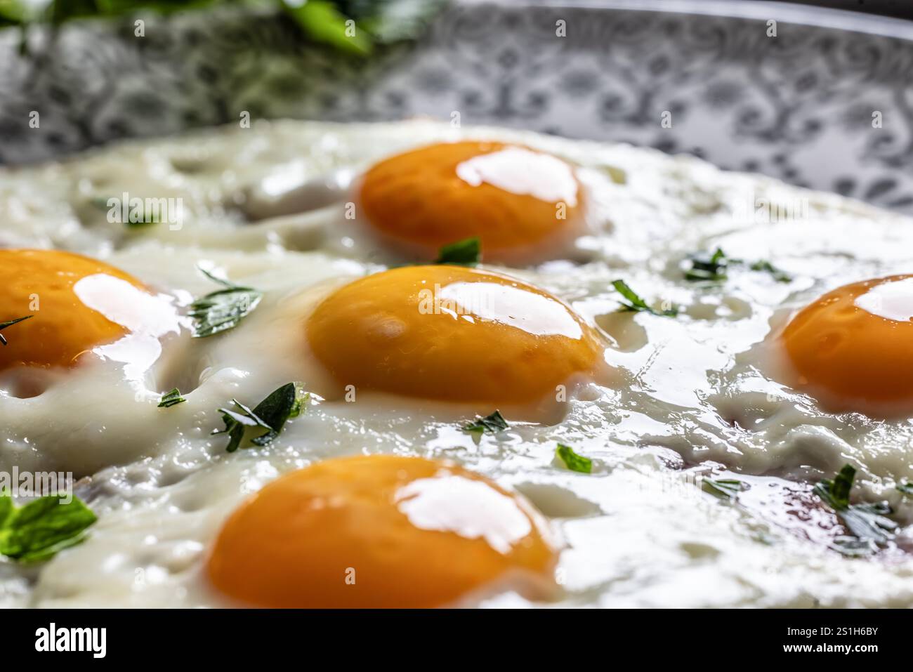 English breakfast on a plate. Ham and eggs sprinkled with parsley Stock ...