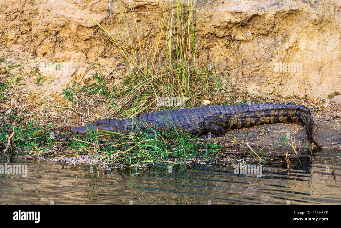 Kwango river hi-res stock photography and images - Alamy