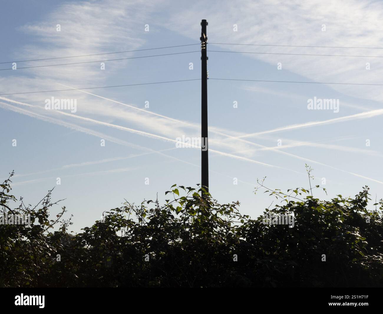 Electric wires supported by a pole and cloud streaks mixed with ...