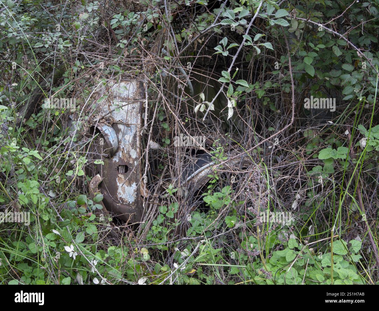 Rusty bodywork of an old Fiat 600 abandoned in the countryside and ...