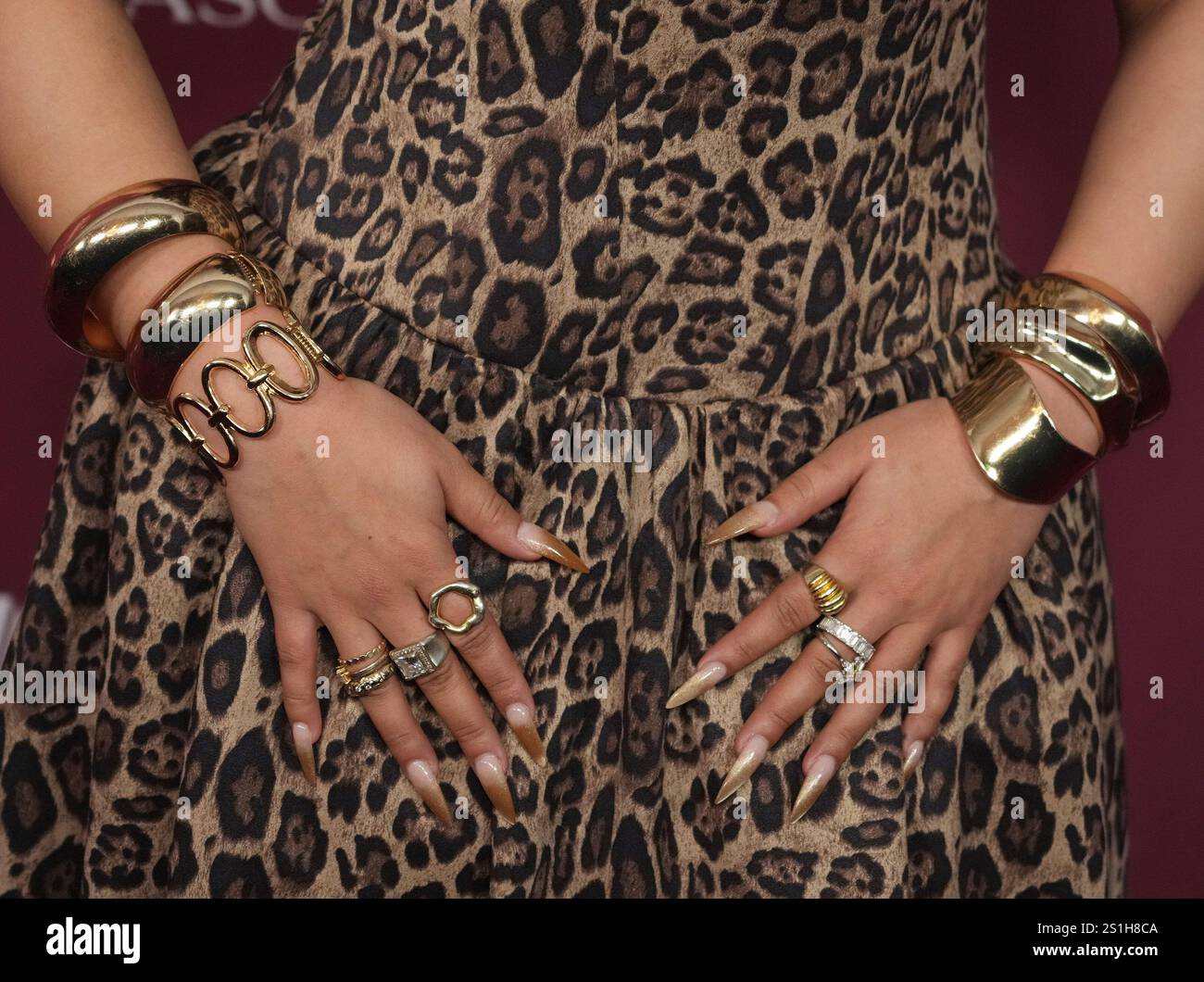 Los Angeles, USA. 03rd Jan, 2025. Asia Monet Ray arrives at the 2025 WWD Style Awards, Golden ...