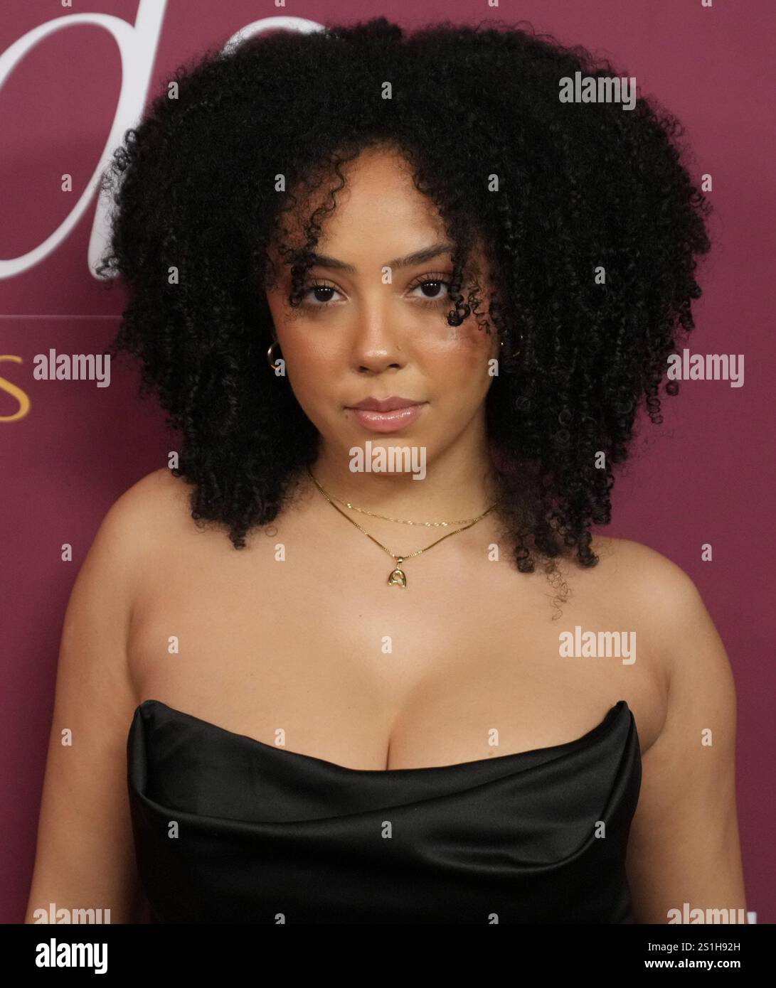 Los Angeles, USA. 03rd Jan, 2025. Alexa Beckford arrives at the 2025 WWD Style Awards, Golden ...