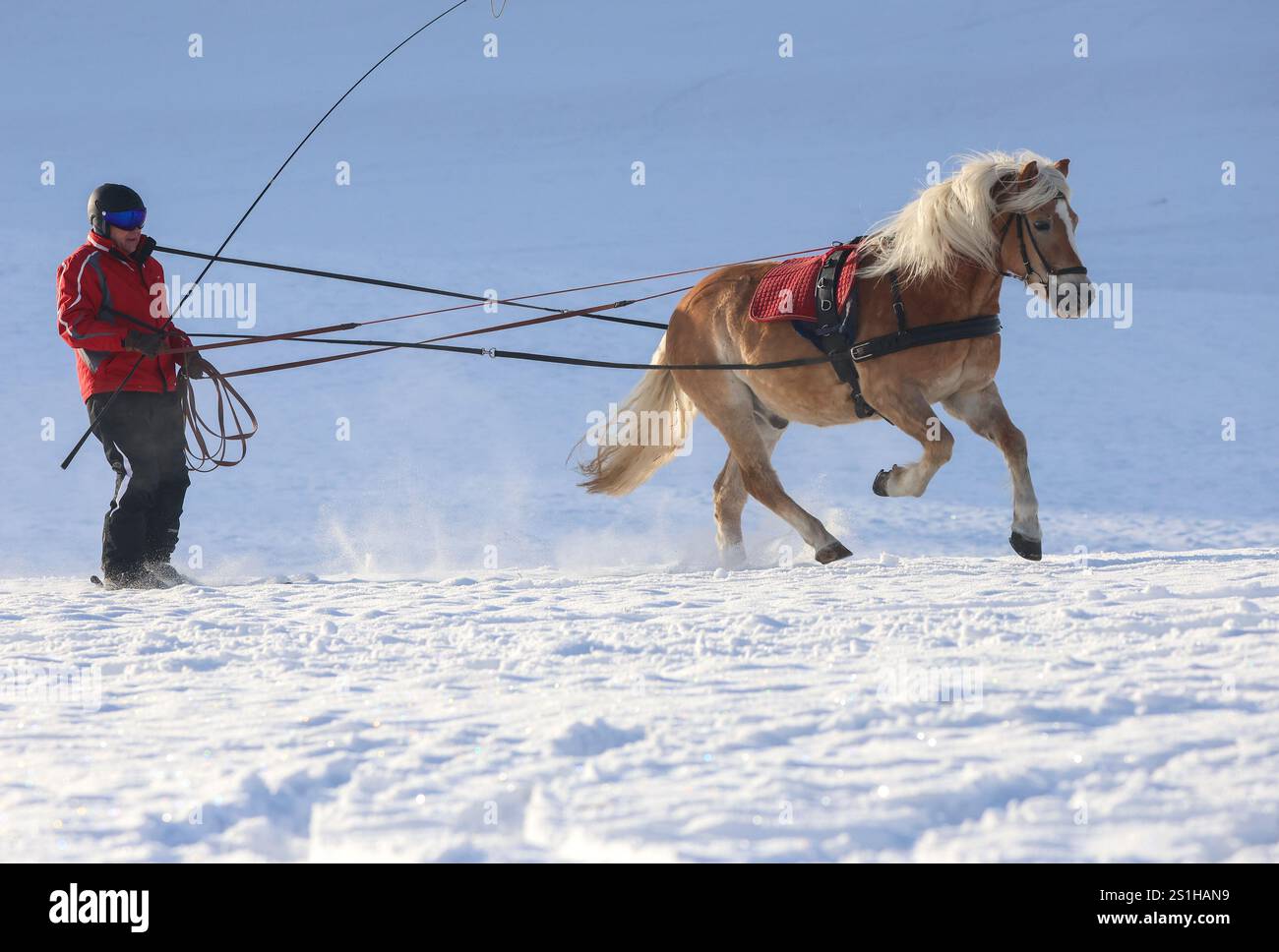 04 January 2025, Baden-Württemberg, Münsingen: A man on skis is pulled ...