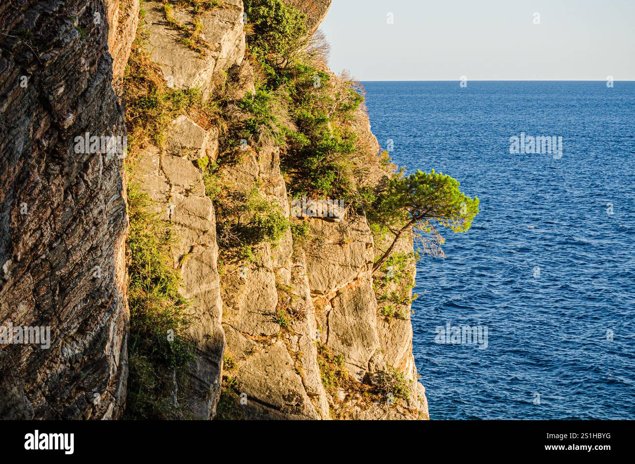 Sunlit cliffs, covered with branches of evergreen trees, in Petrovac ...