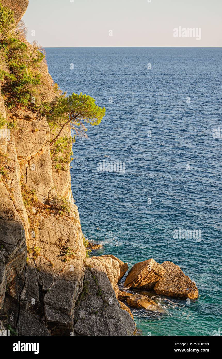 Sunlit cliffs, covered with branches of evergreen trees, in Petrovac ...