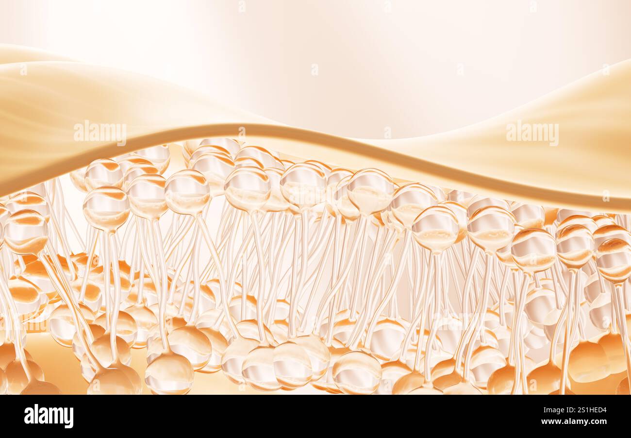 Abstract skin layer and cells, essential oil for skin, human skin ...