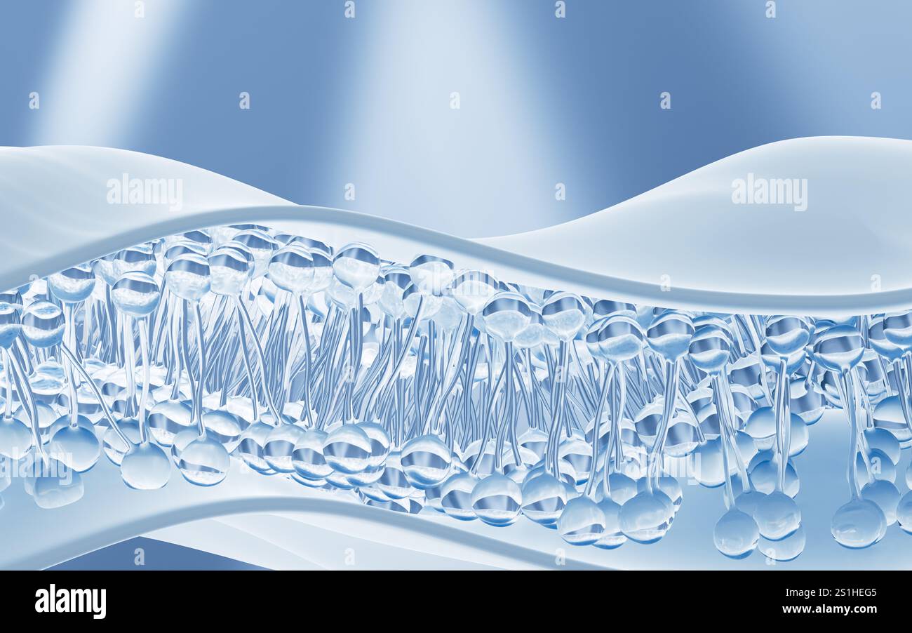 Abstract skin layer and cells, human skin tissue, 3d rendering. 3d ...