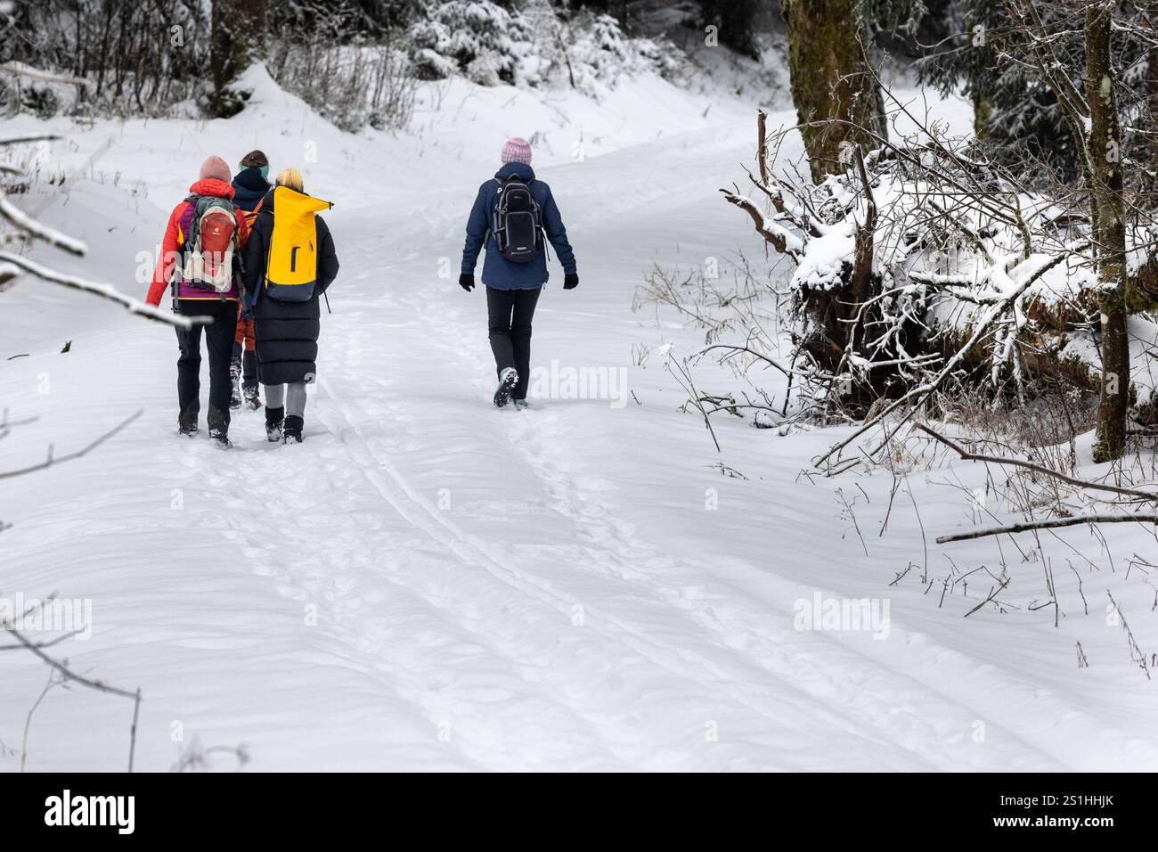 Suhl Schmiedefeld, Germany. 04th Jan, 2025. Walkers run through the snow-covered Thuringian ...