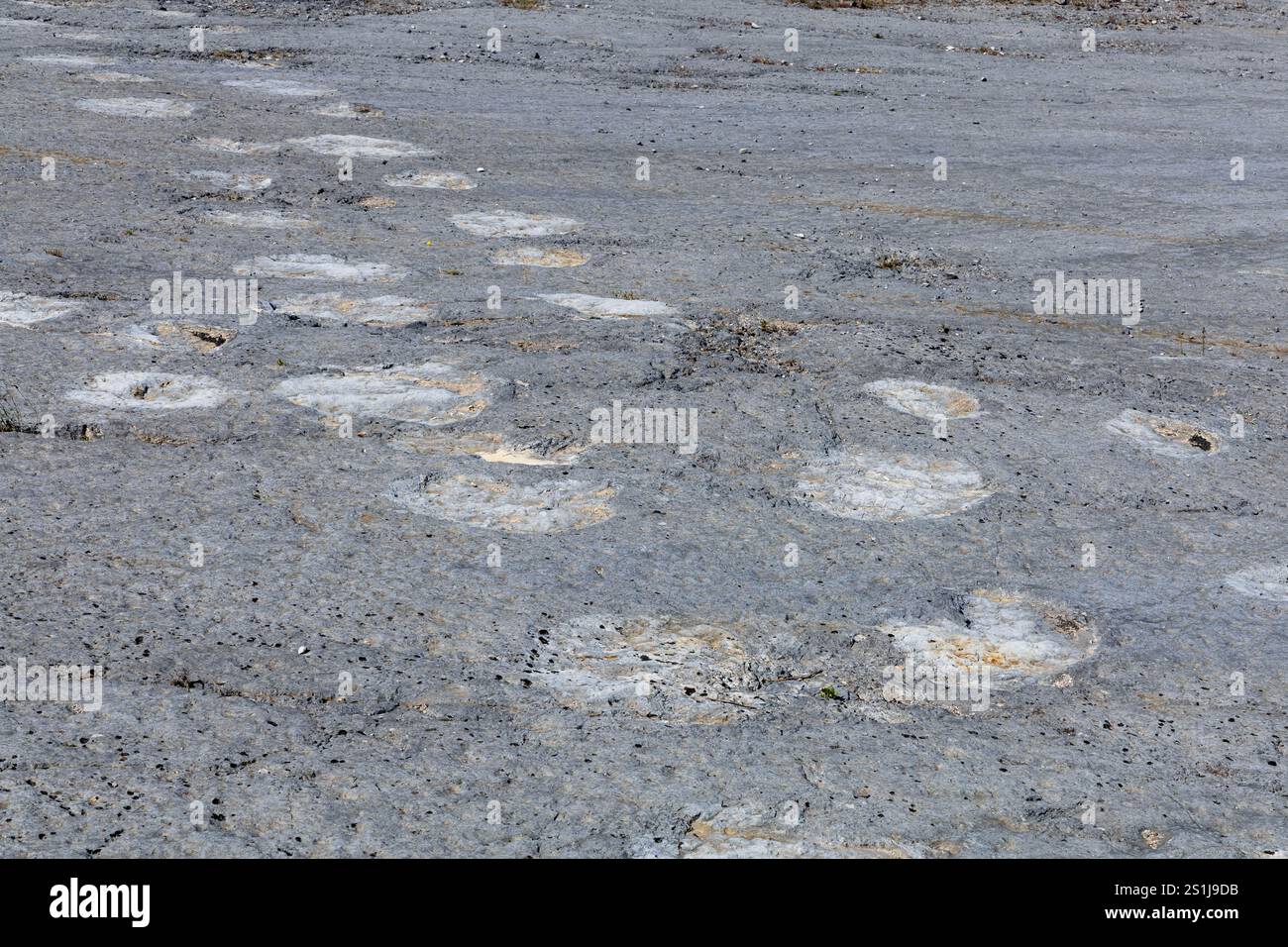 Real dinosaurs footprints imprinted in the rock, Ourém Portugal Stock ...