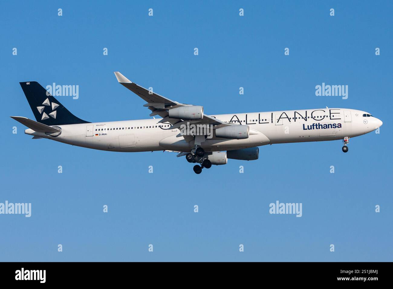 German Lufthansa Airbus A340-300 in Star Alliance livery with ...